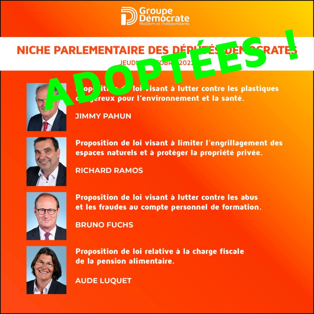 [Niche Démocrate] Une journée en hémicycle au service de nos ...